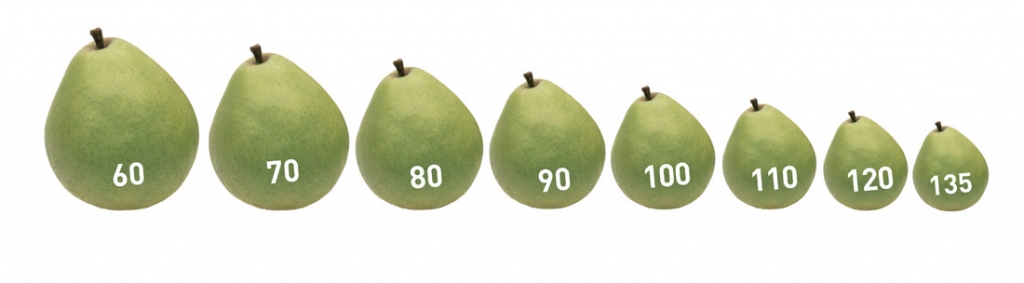 Sizing and Grading - USA Pears Trade Site