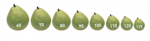 Sizing and Grading - USA Pears Trade Site